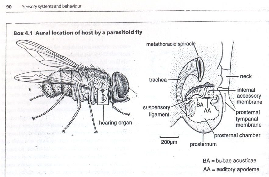 IHMC Public Cmaps (2)